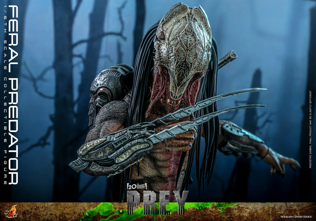 Feral Predator - Prey - Sixth Scale - HOT TOYS – Limited Edition