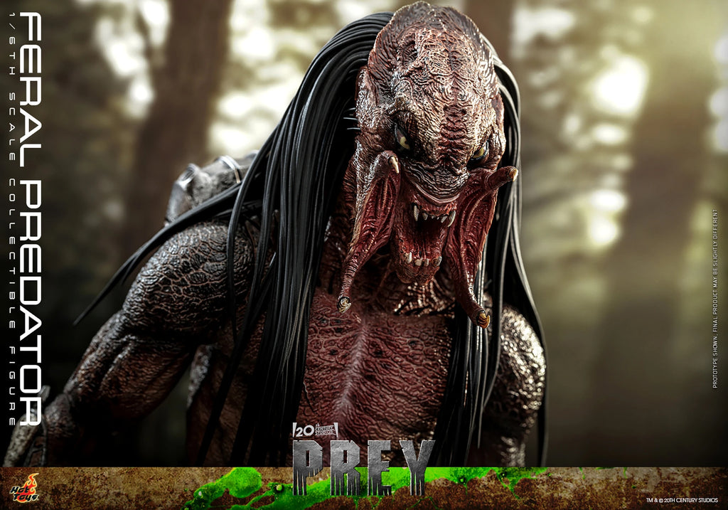Feral Predator - Prey - Sixth Scale - HOT TOYS – Limited Edition